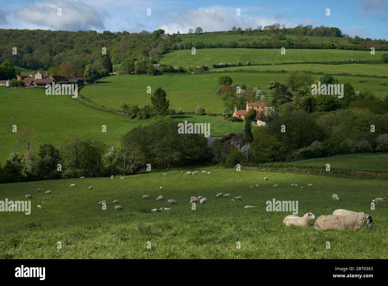 Valley spring bath somerset hi-res stock photography and images - Alamy