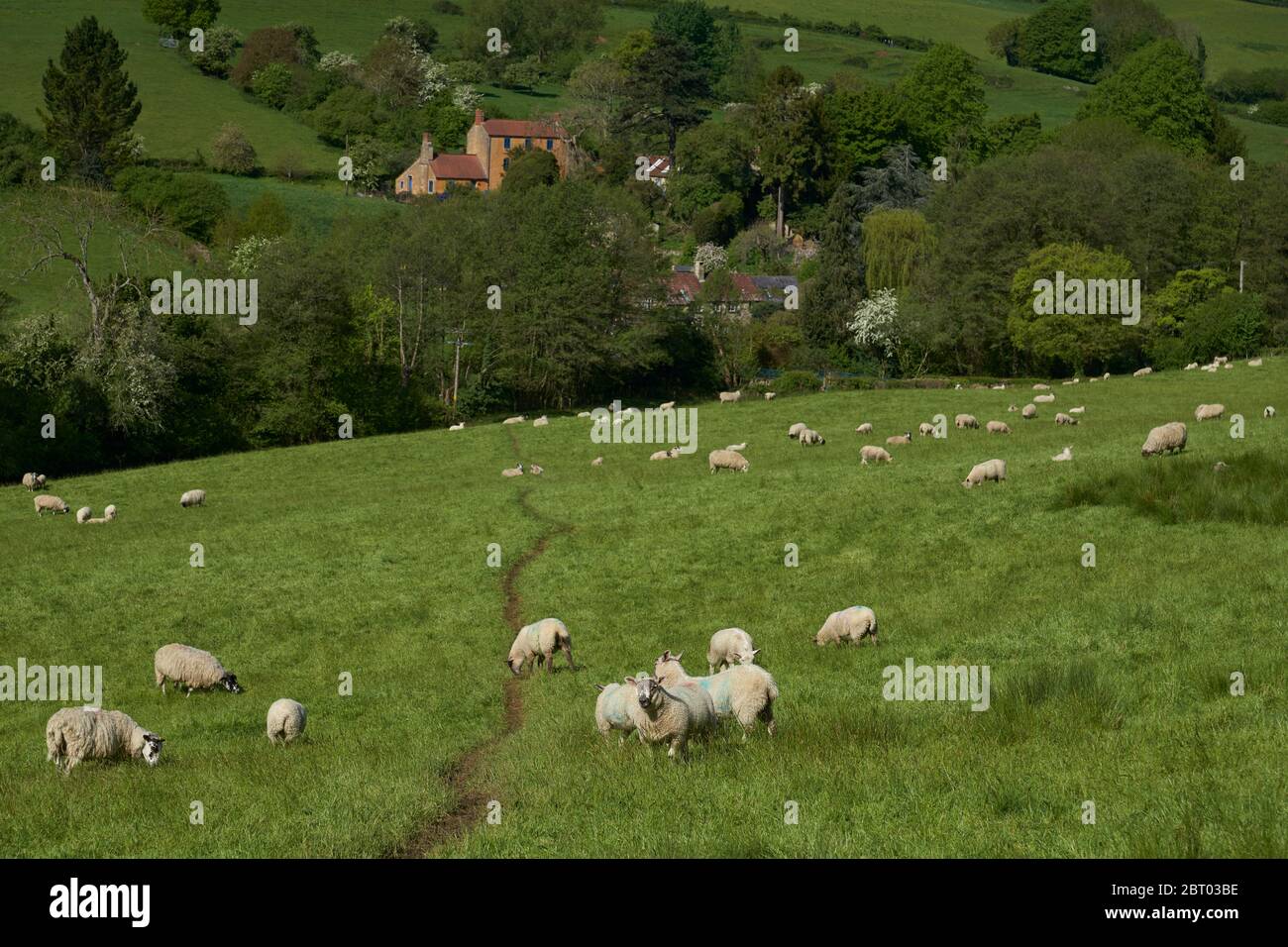 Valley spring bath somerset hi-res stock photography and images - Alamy