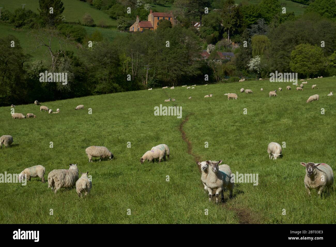Valley spring bath somerset hi-res stock photography and images - Alamy