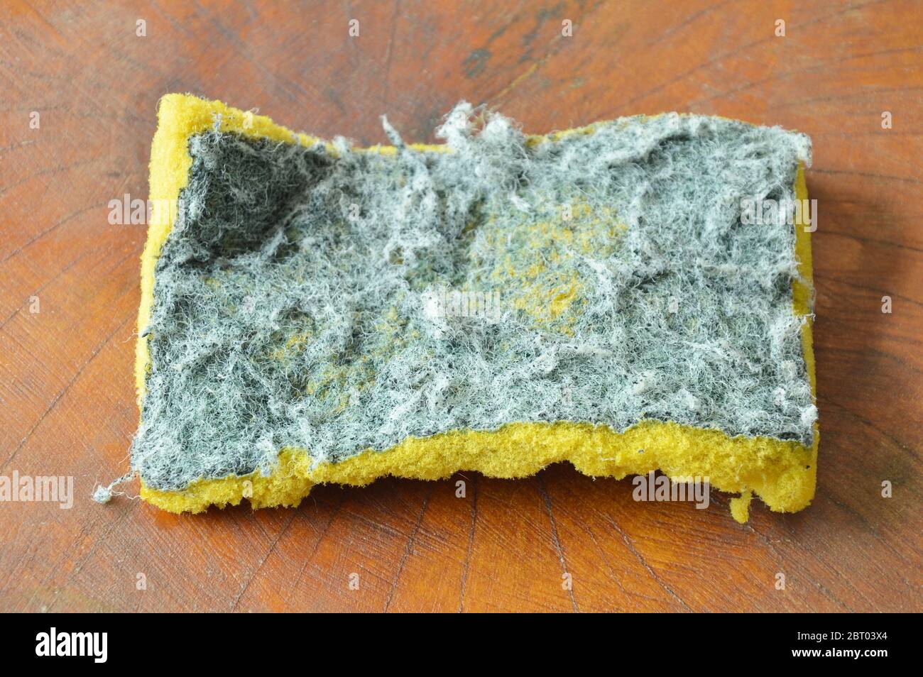 old green and yellow scrub sponge texture and background Stock Photo ...