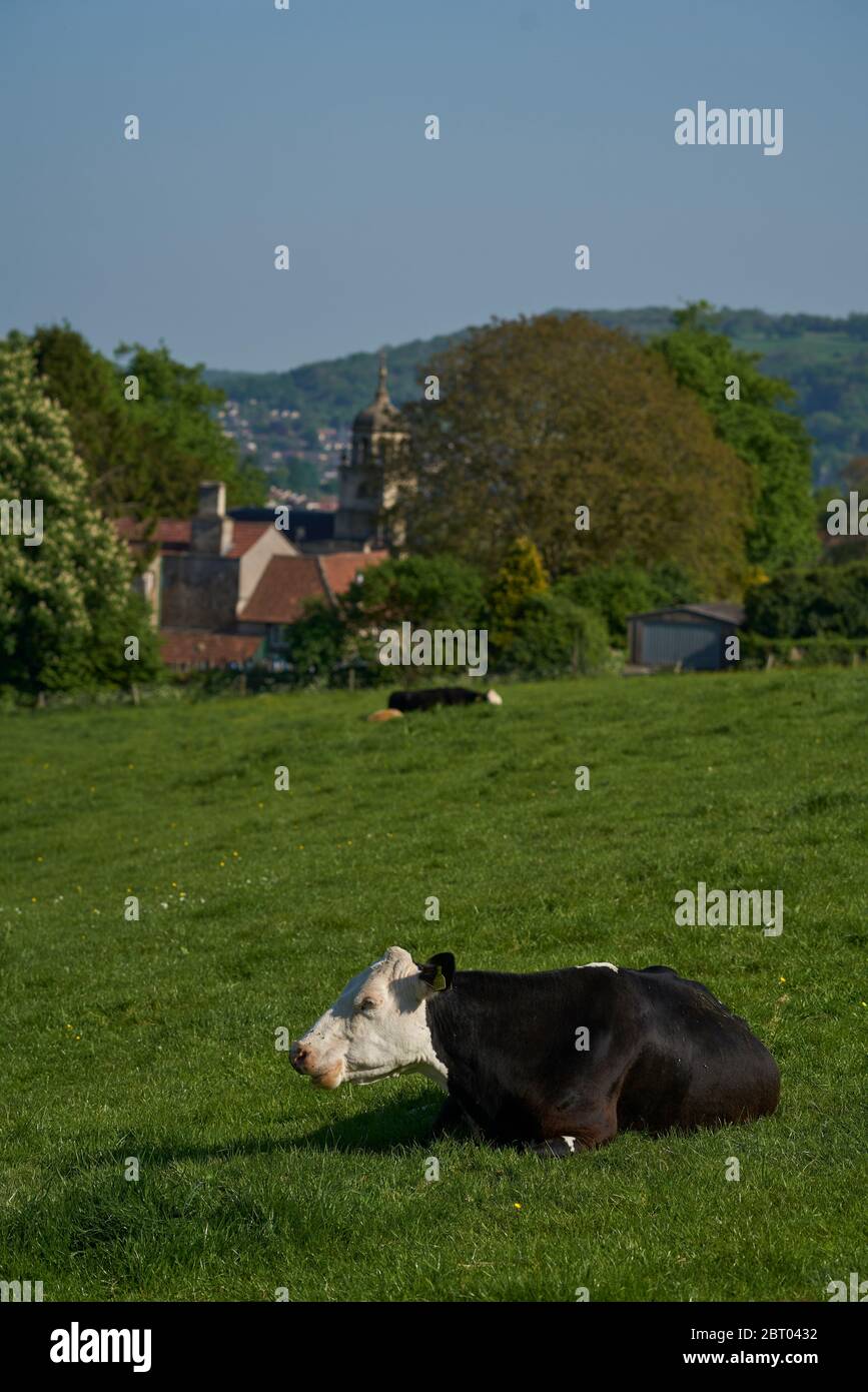 Valley spring bath somerset hi-res stock photography and images - Alamy
