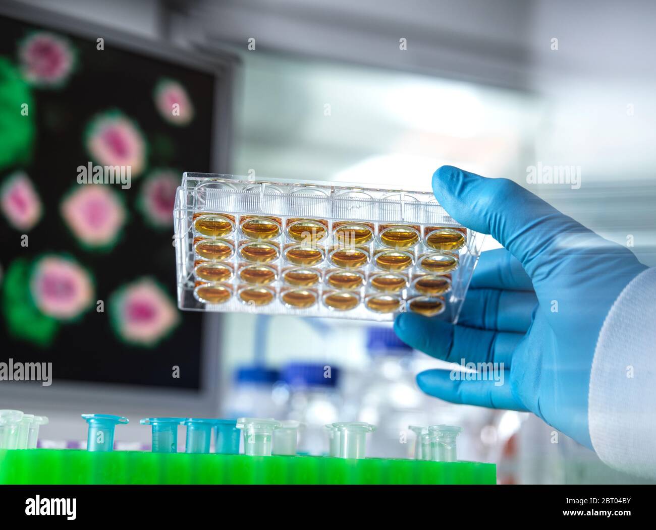 Analytical Testing High Resolution Stock Photography and Images - Alamy