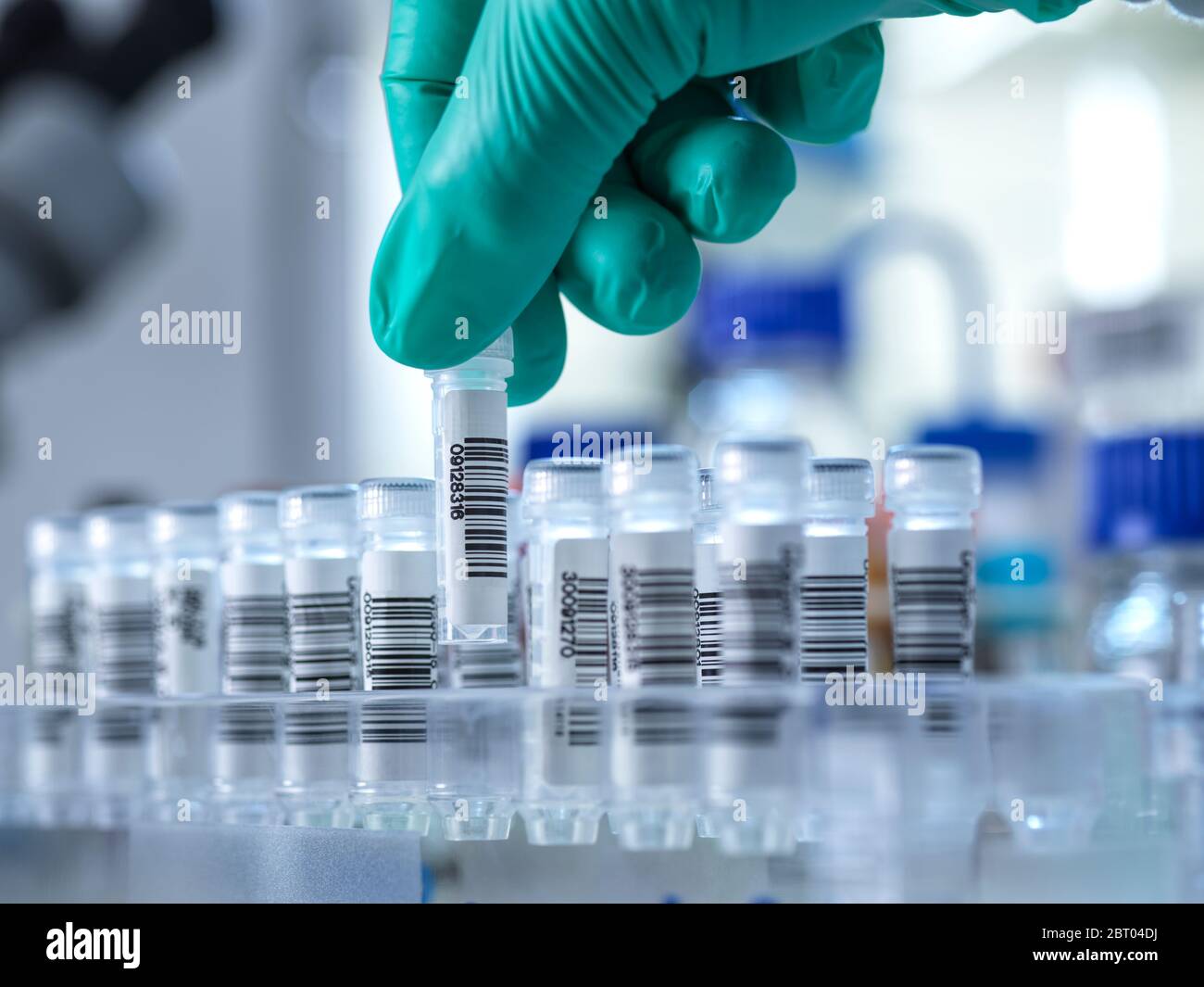 Lab technician testing human DNA samples for potential viruses ...