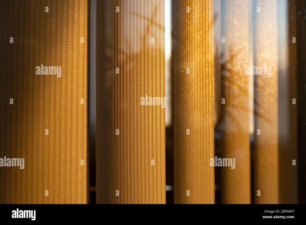 Vertical wide blinds outside the window in the light of the sunset, a ...