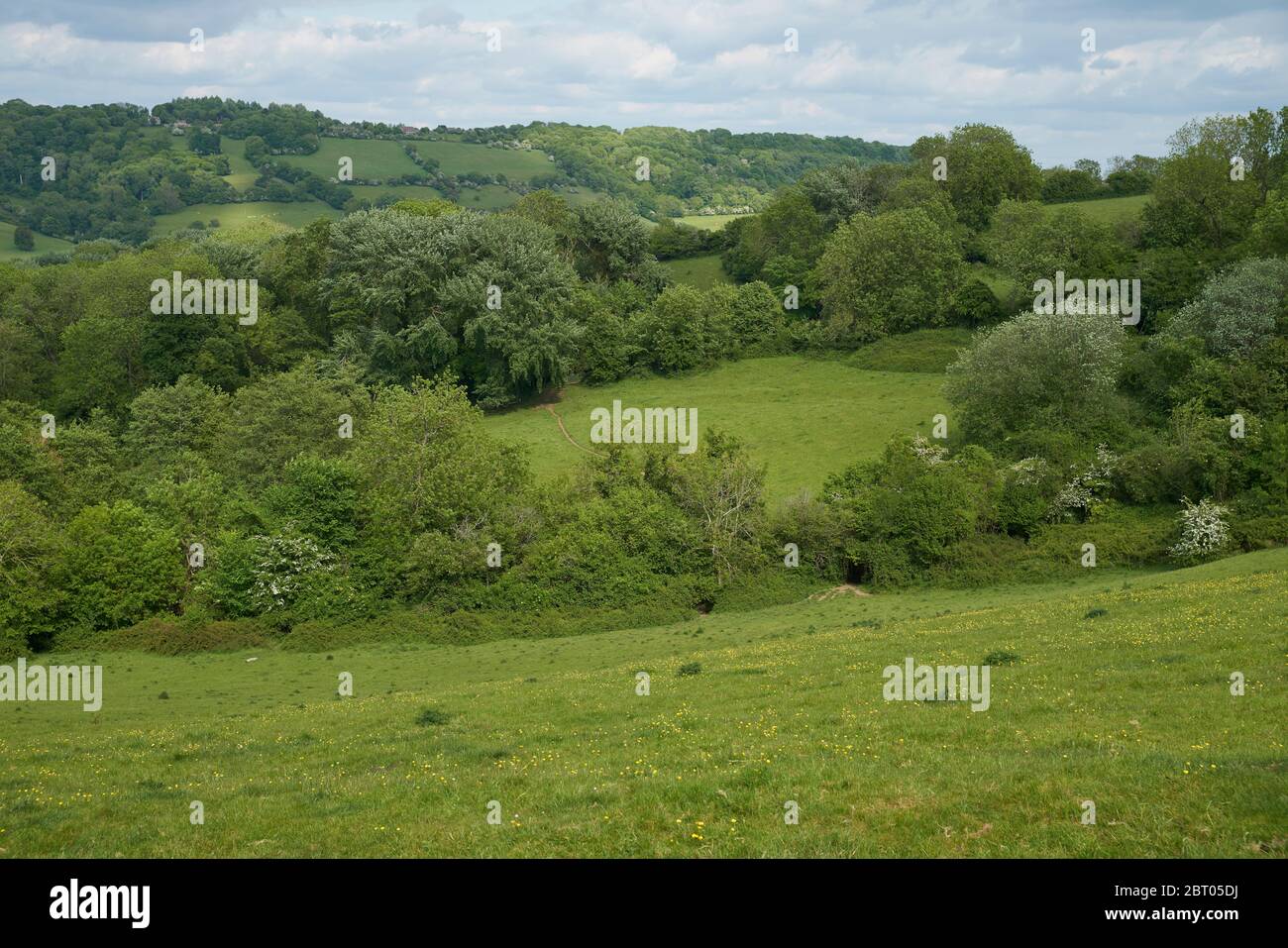 Lush green fields of the Woolley Valley, an Area of Outstanding Natural ...