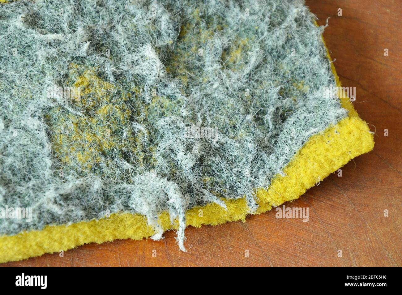 old green and yellow scrub sponge texture and background Stock Photo ...