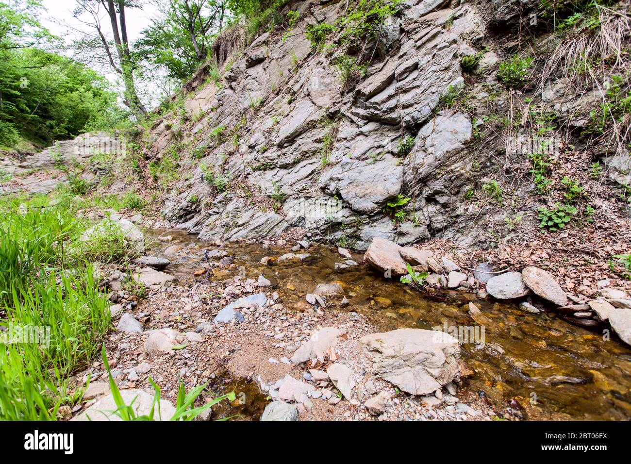 Clear freshwater, forest rocky creek, spring day in nature Stock Photo ...
