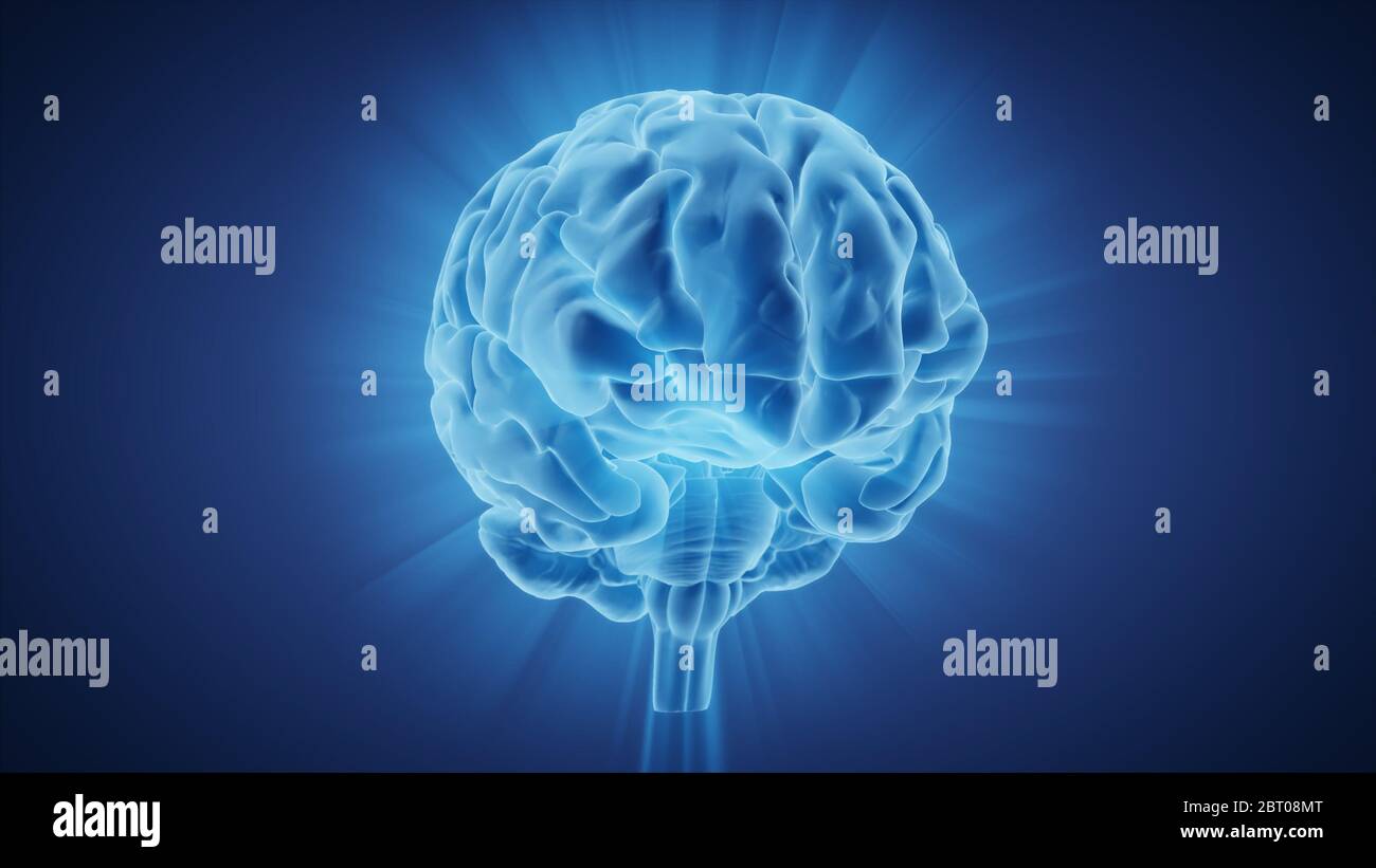 3d illustration human brain with convolutions and a radiance of light ...
