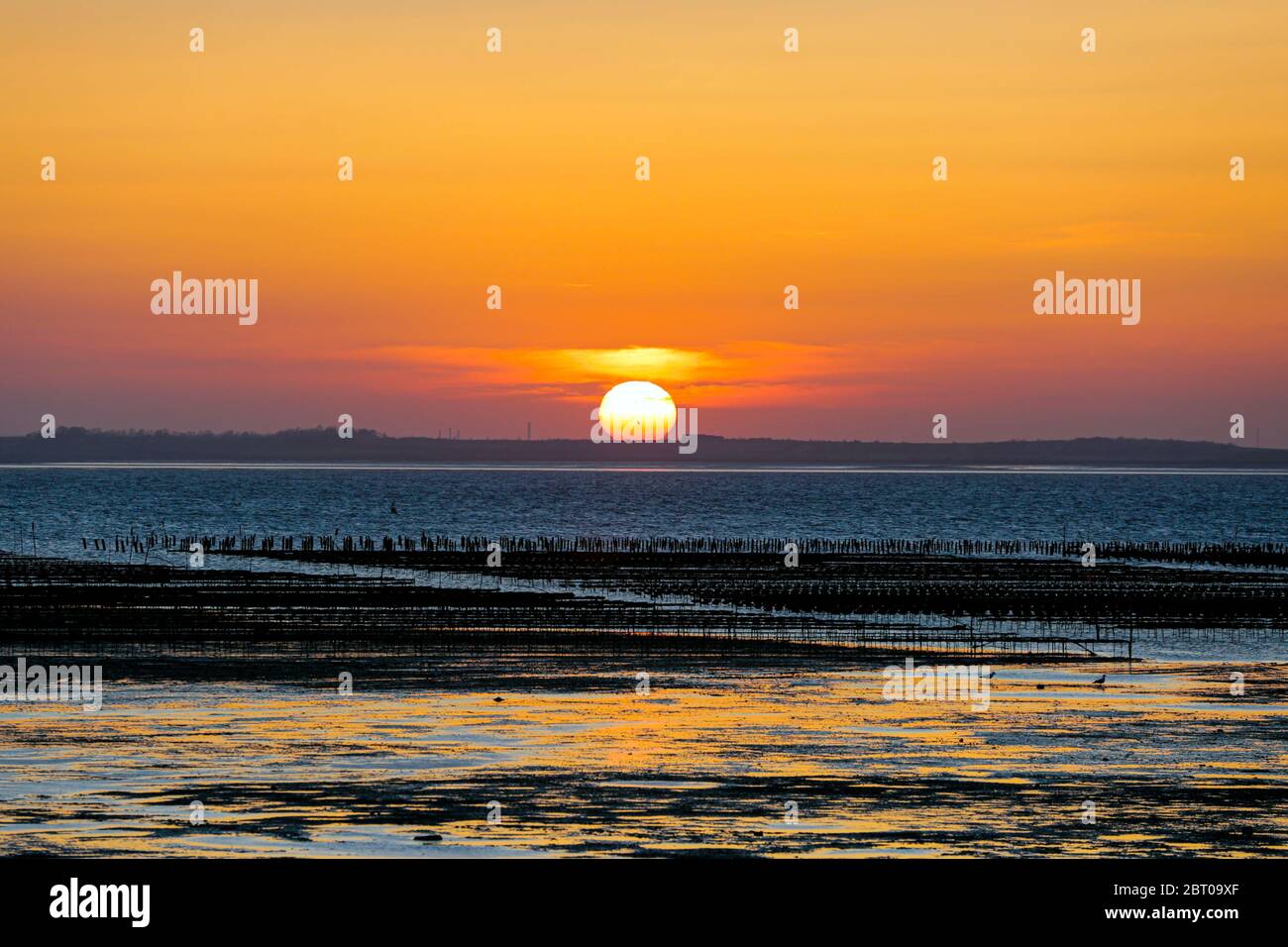 Sunset over Whitstable's oyster beds with Isle of Sheppey in the ...