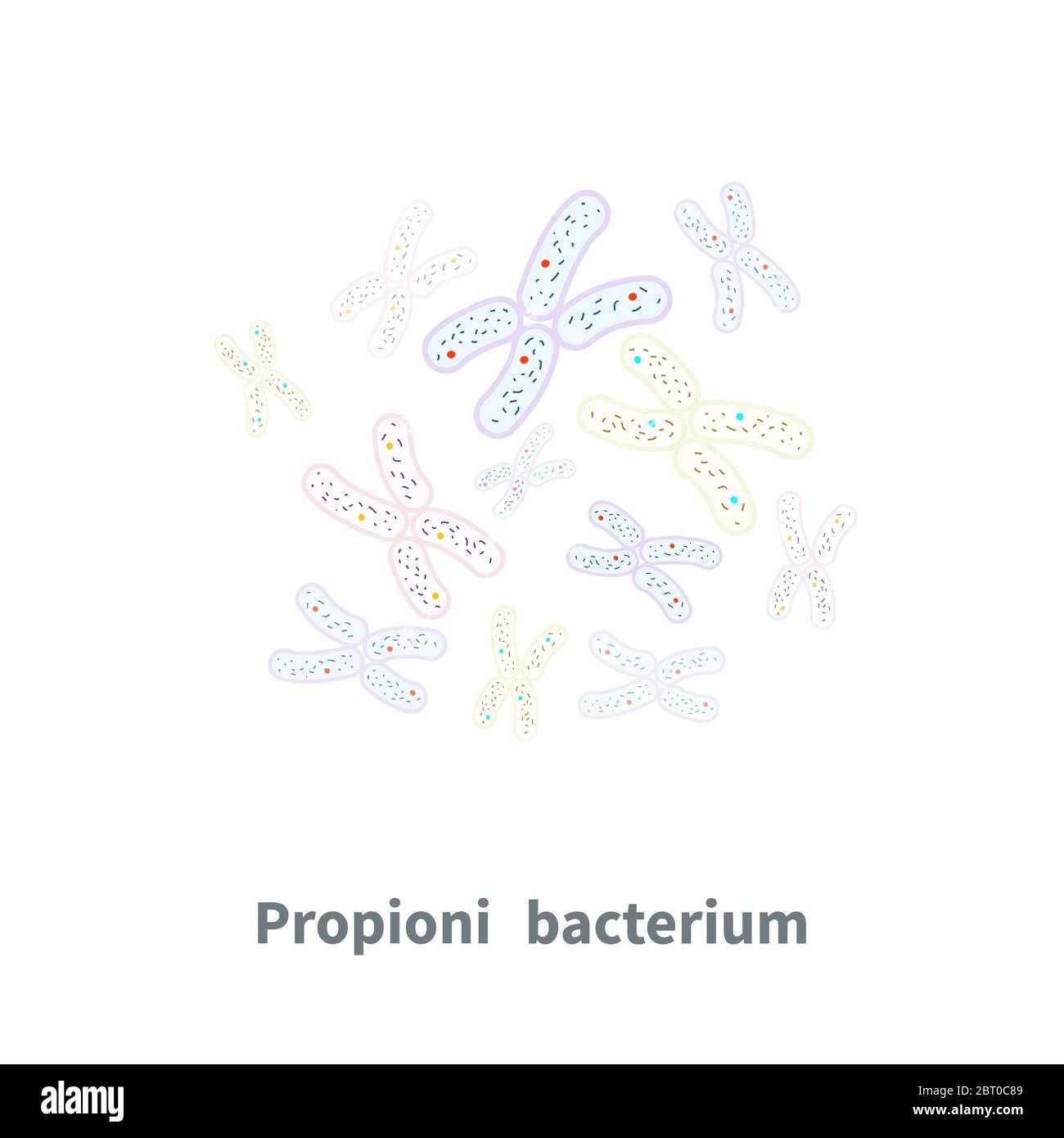 Probiotics yoghurt Cut Out Stock Images & Pictures - Alamy