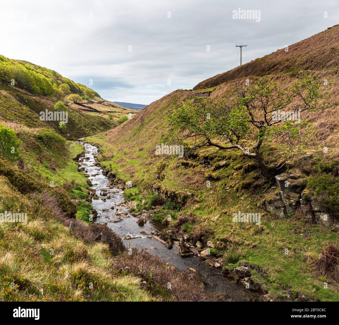 River Dane,Axe Edge Moor,where Cheshire,Derbyshire and Staffordshire ...