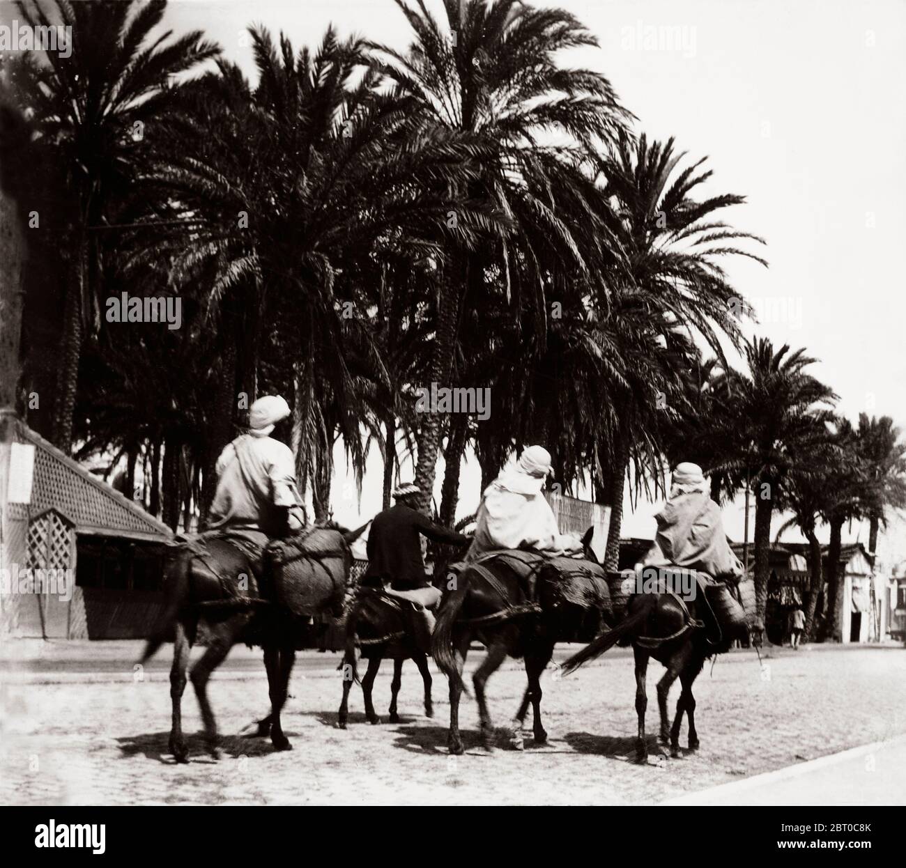 North African locations circa 1900 including Algiers, Bobovilla, Tunsia ...