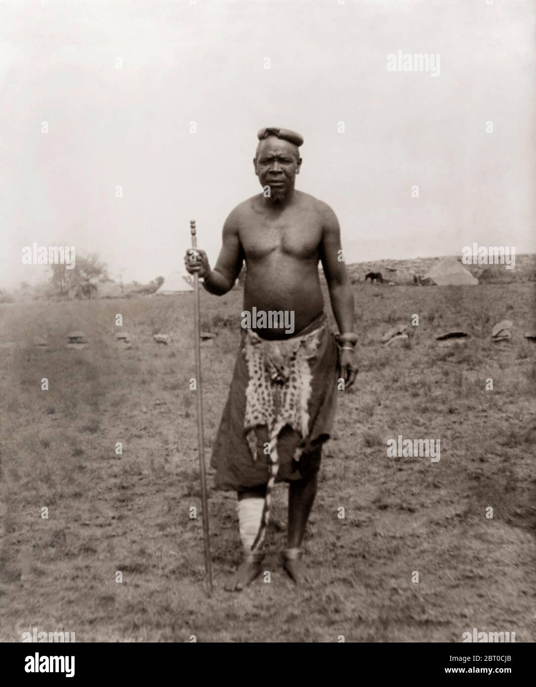 Afrikaner High Resolution Stock Photography and Images - Alamy