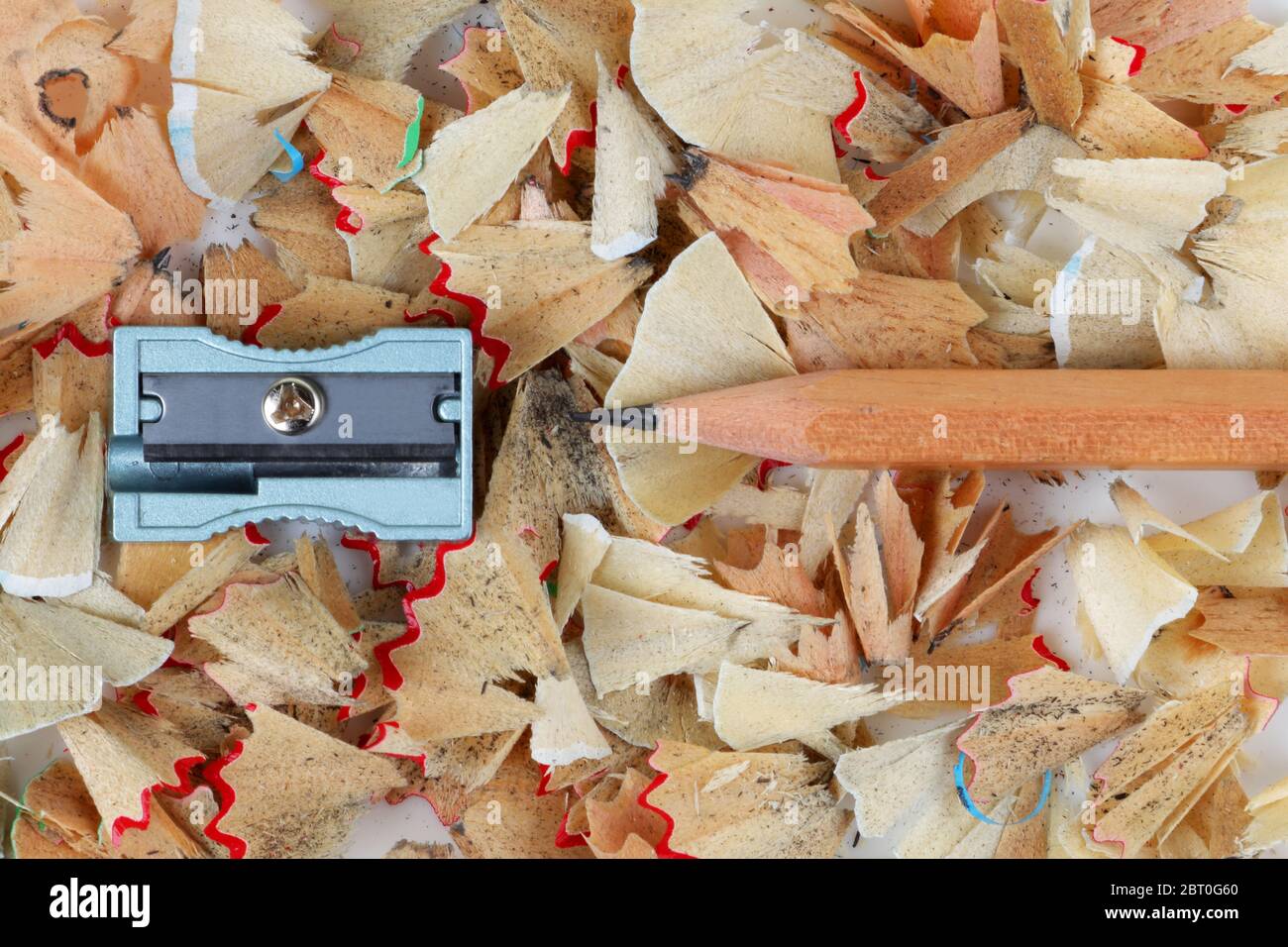 Sharpened brown pencil and sharpener on shavings Stock Photo - Alamy