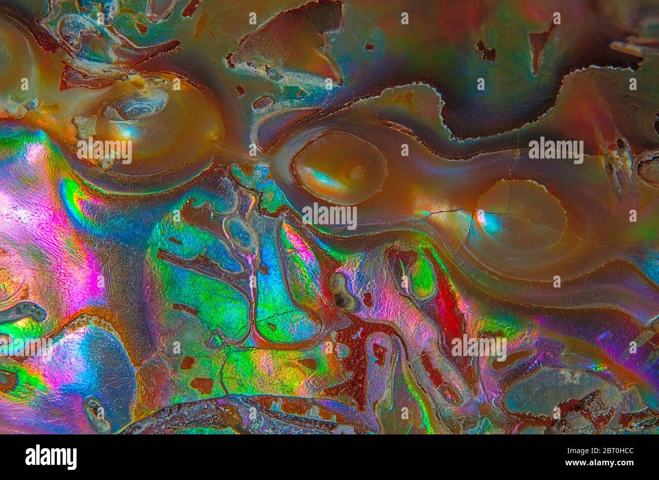 Natural abstract nacre shell colors, background texture Stock Photo - Alamy
