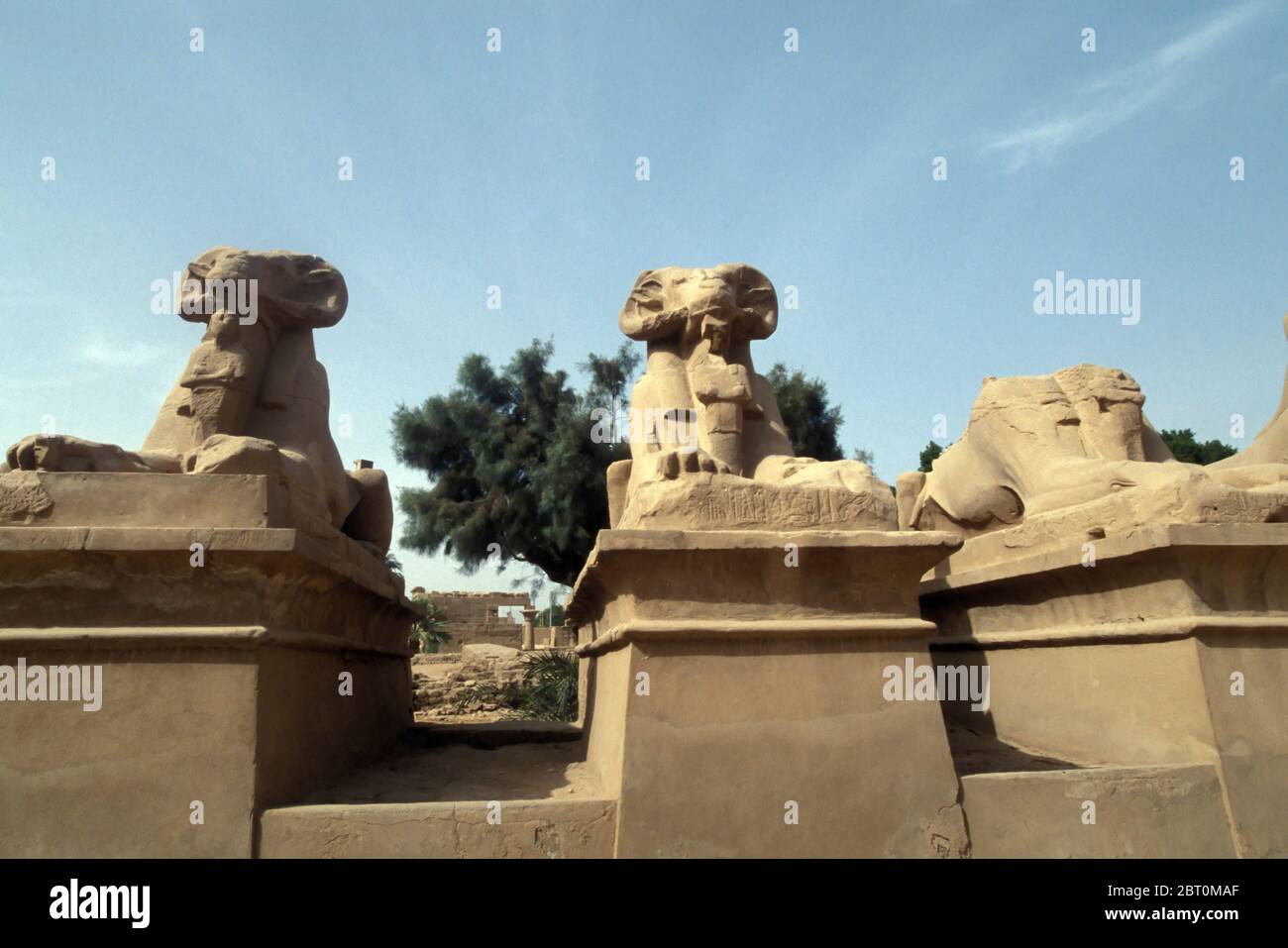 Ram headed Corridor of Sphinxes inside the ancient egyptian Karnak ...