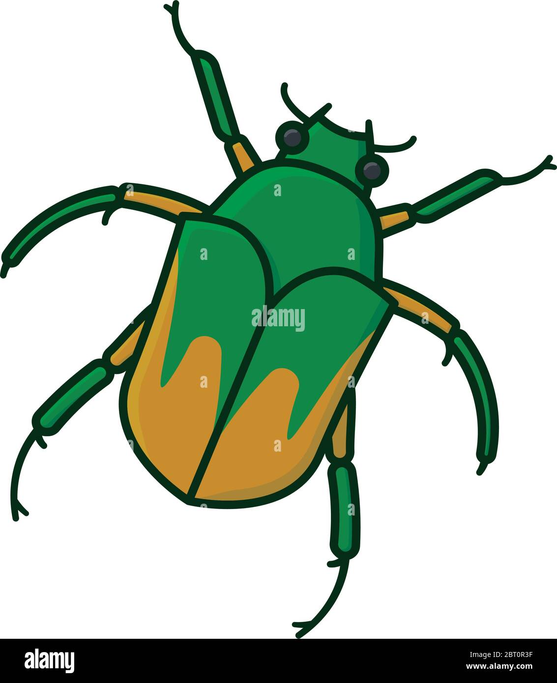 Junebug vector vectors hi-res stock photography and images - Alamy