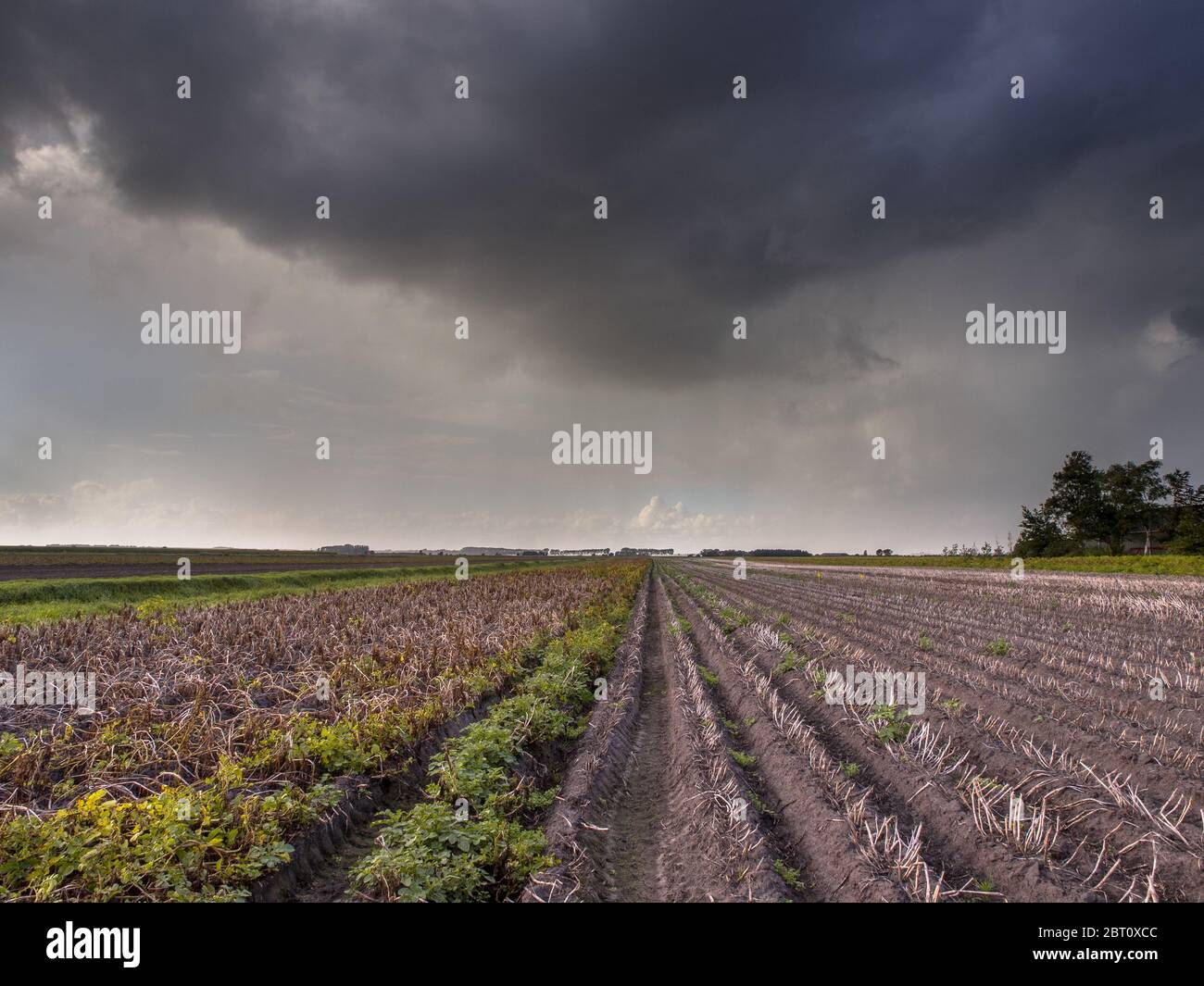 Storm clouds nobody field hi-res stock photography and images - Alamy