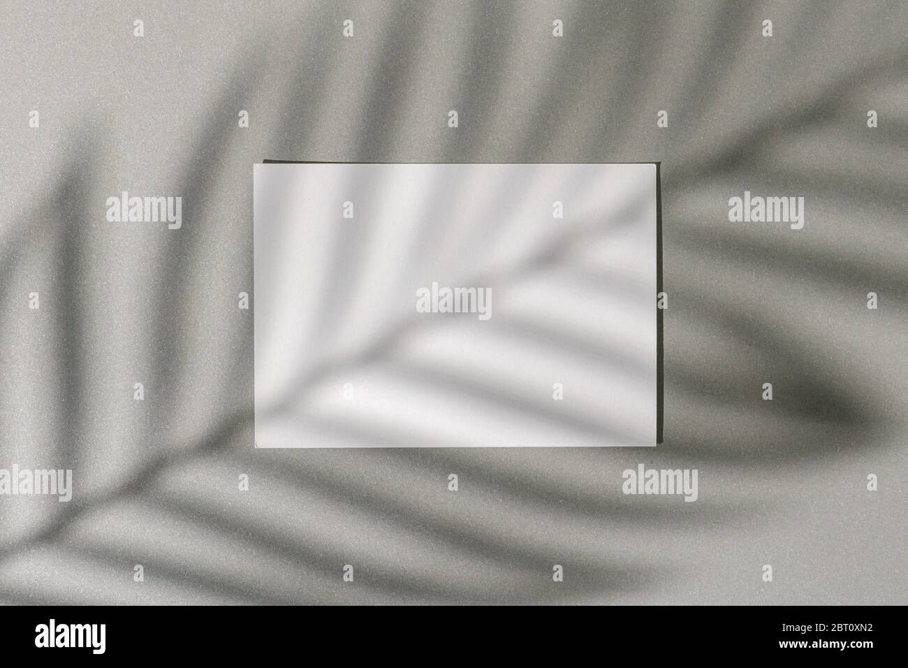 Business card on paper background with foliage shadow Stock Photo - Alamy