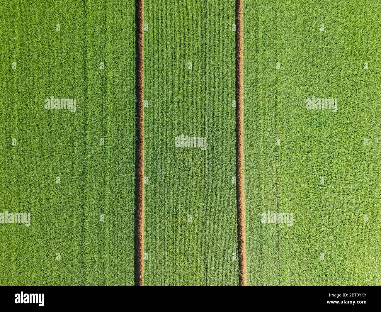 Aerial view of a plowed field Stock Photo - Alamy