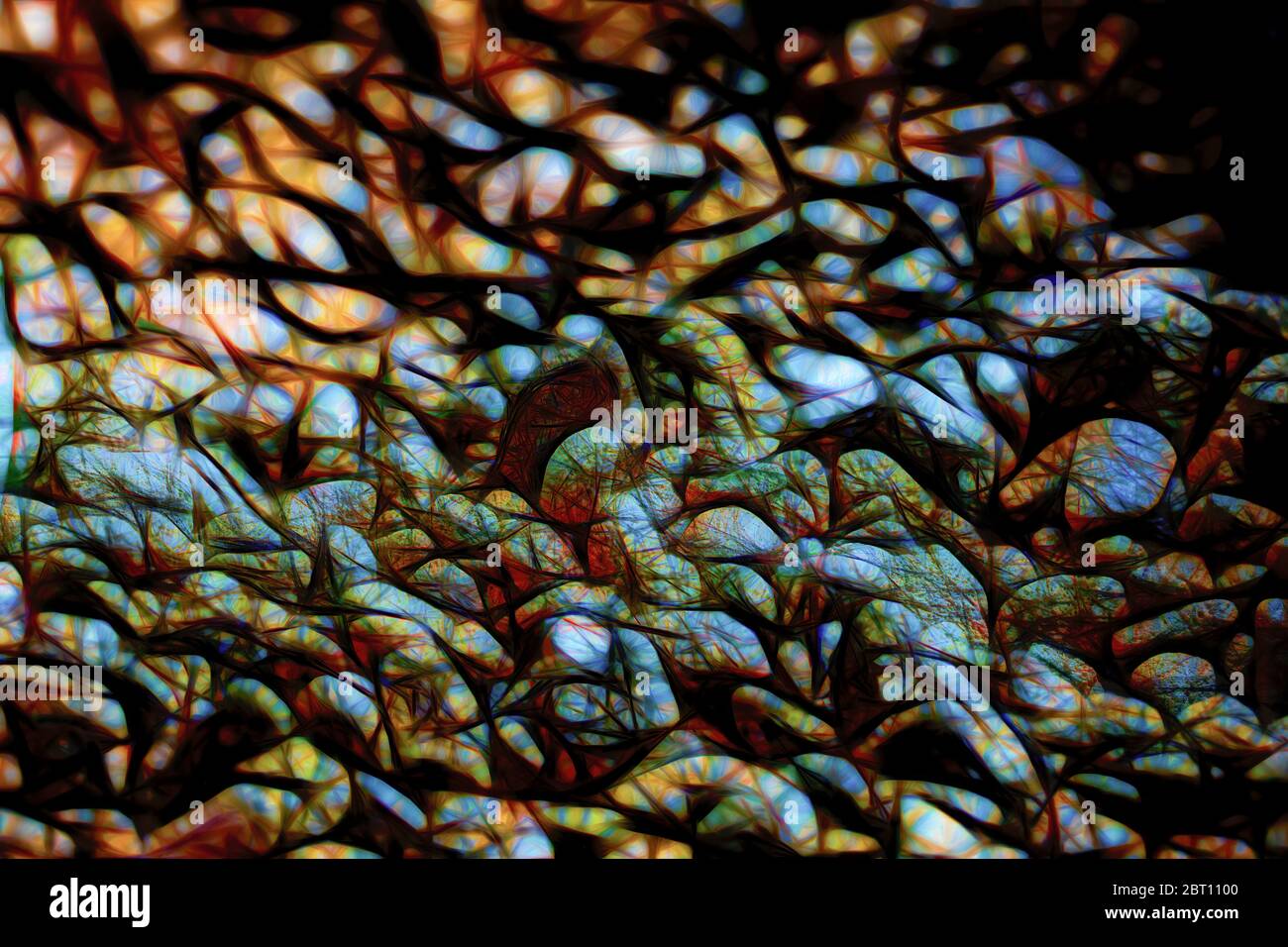 Macro shot of a colorful organic looking shape Stock Photo - Alamy