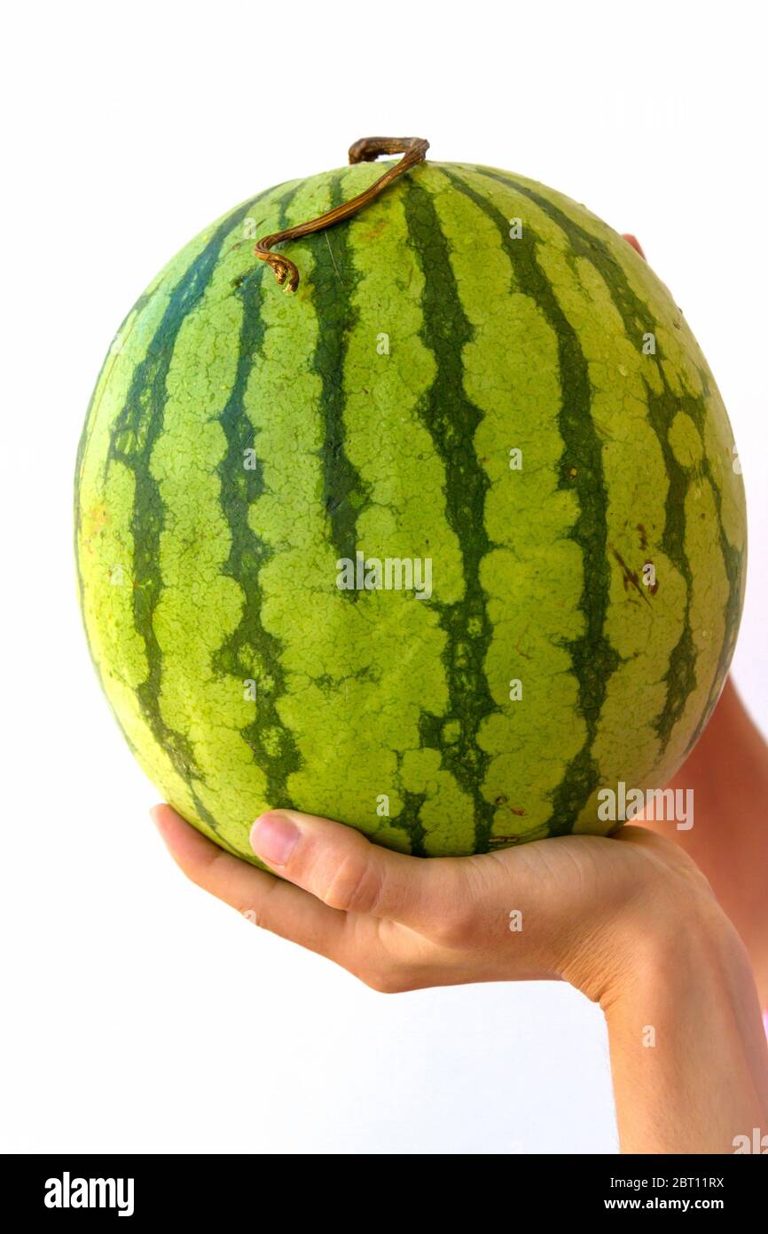 Whole watermelon hi-res stock photography and images - Alamy