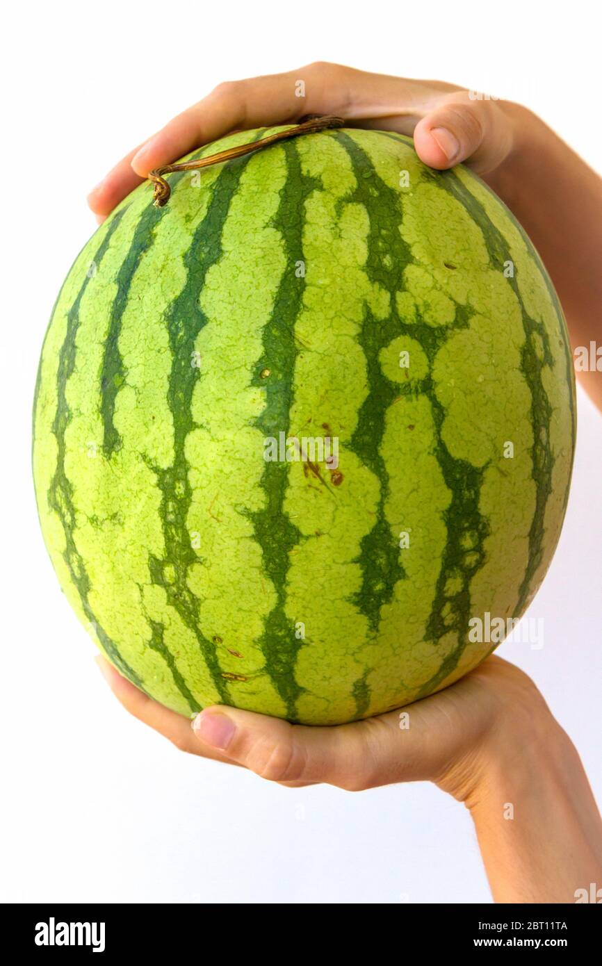 Hand melon hi-res stock photography and images - Alamy