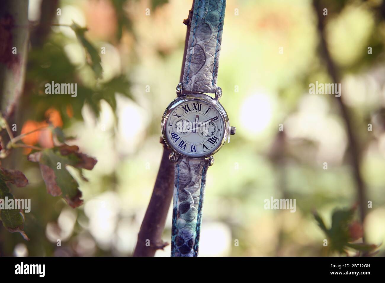Green Watch green background . The green Watch is placed on a tree ...