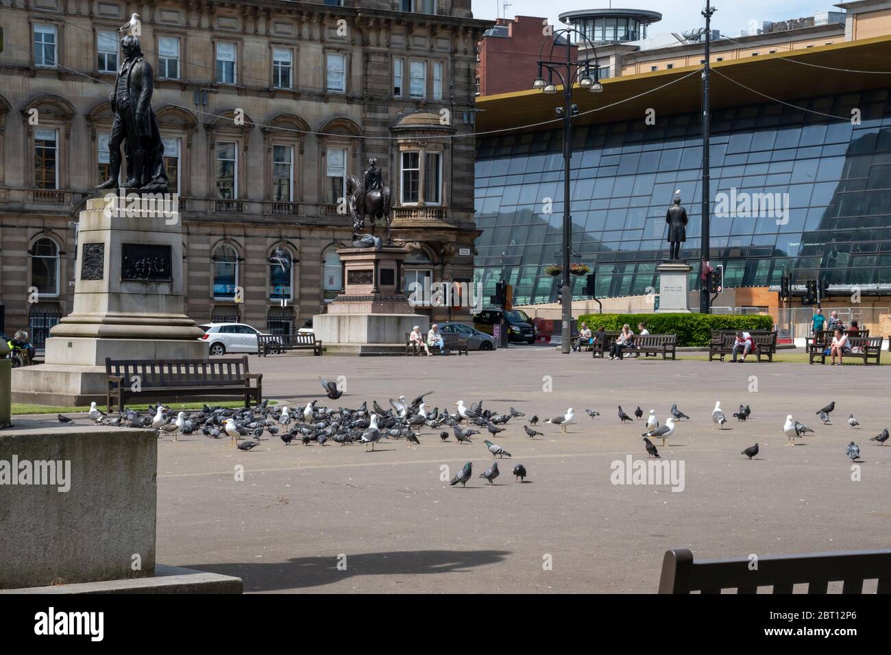 Glasgow pigeons hi-res stock photography and images - Alamy