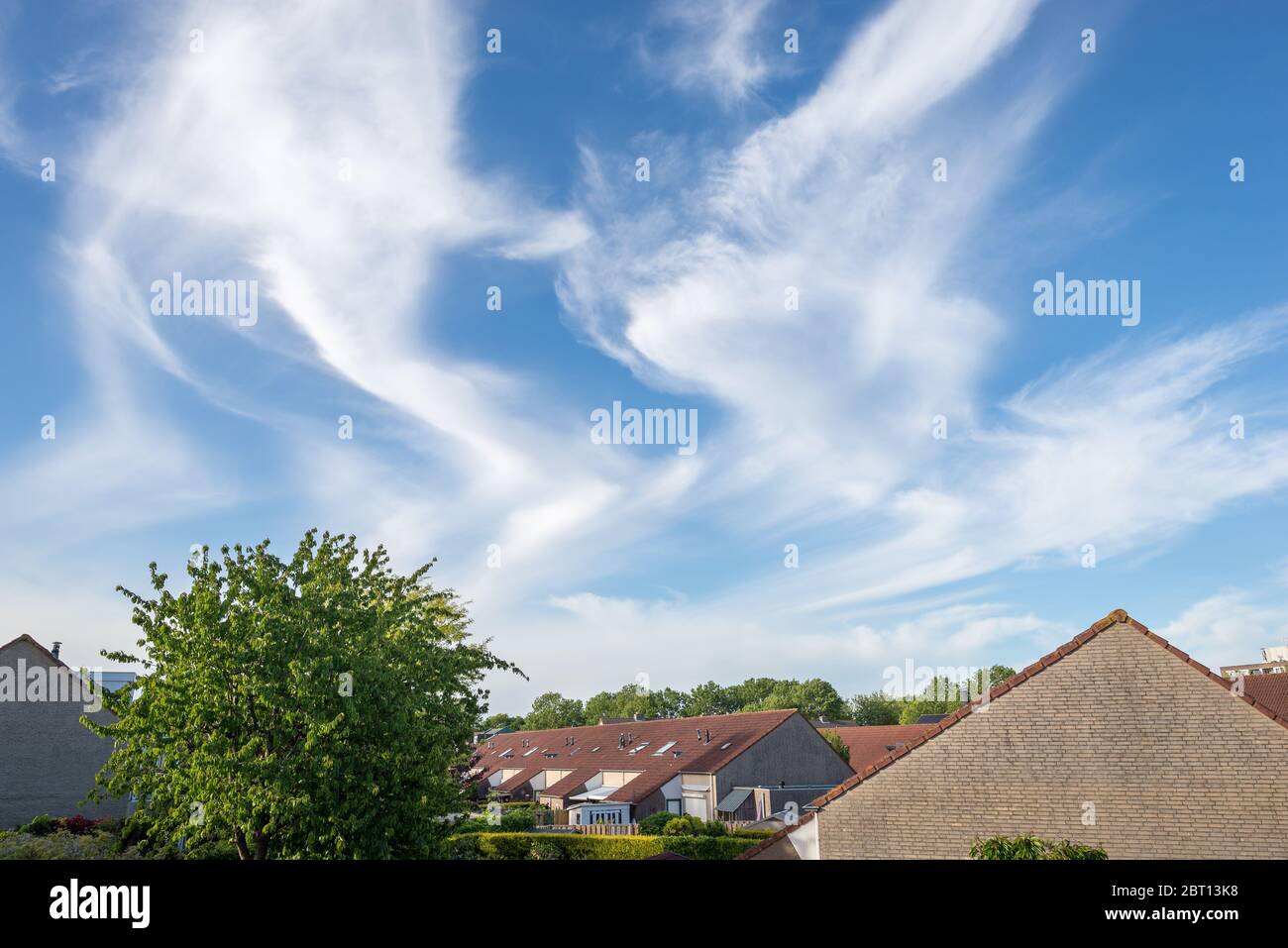 Cirrus Intortus Cloud