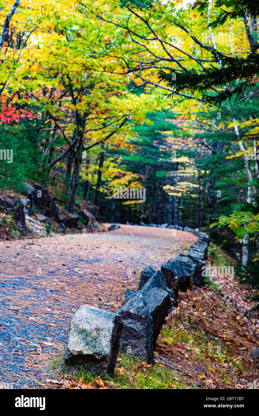 Carriage Trail in Acadia National Park Stock Photo - Alamy