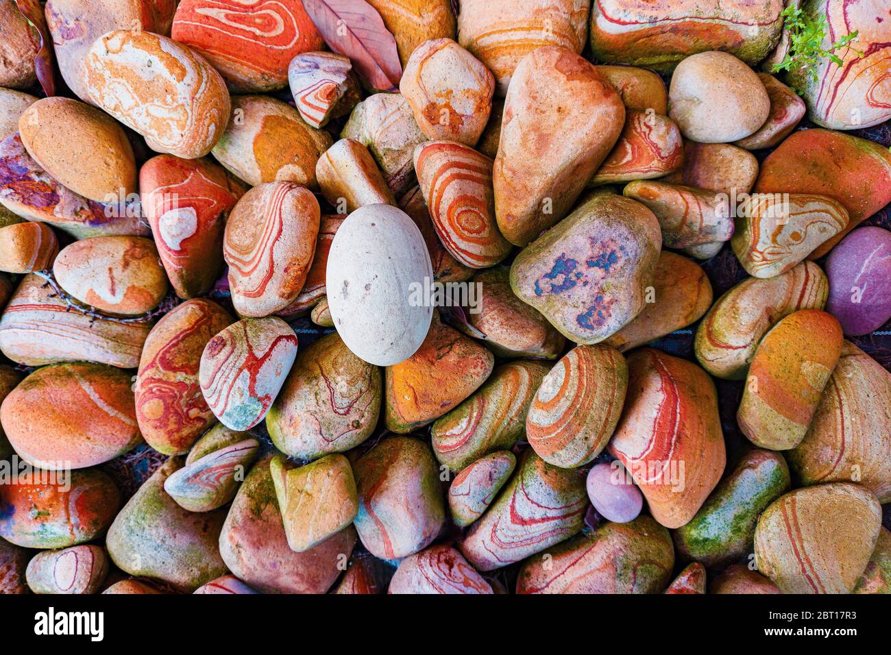colorful stones texture on the garden Stock Photo - Alamy