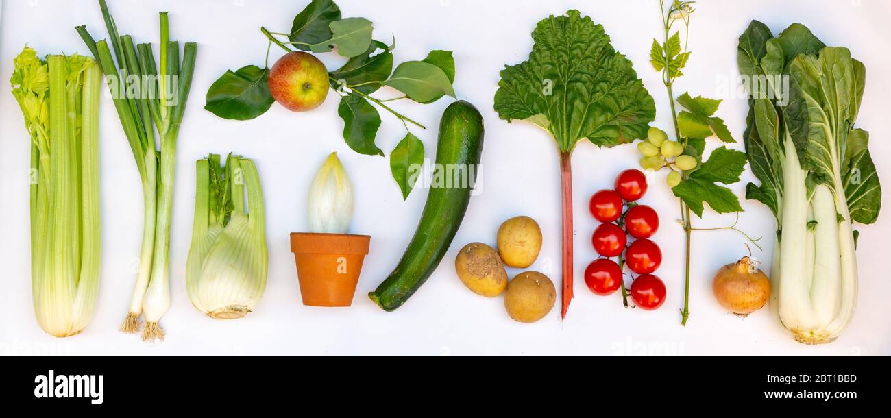 Flat lay with fresh local vegetables en fruits like, celery, spring ...