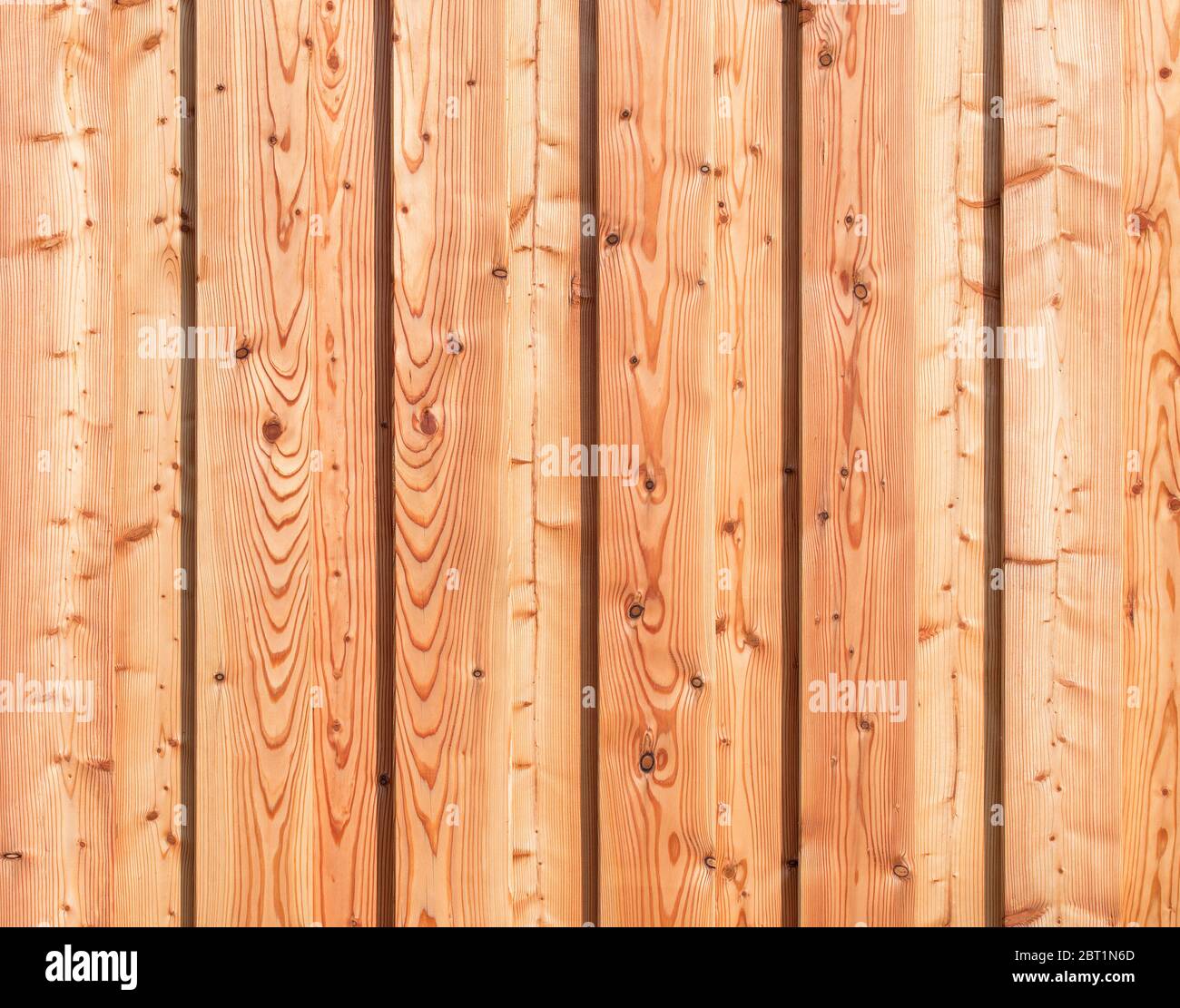 Wooden panels made of pine wood Stock Photo - Alamy