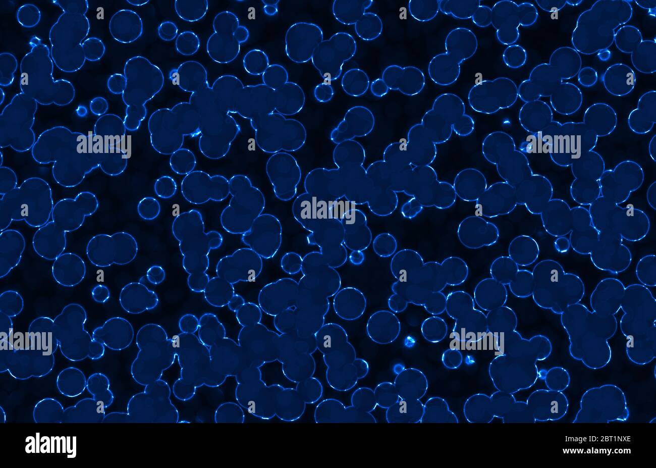 colored abstract bacteria cells Stock Photo - Alamy