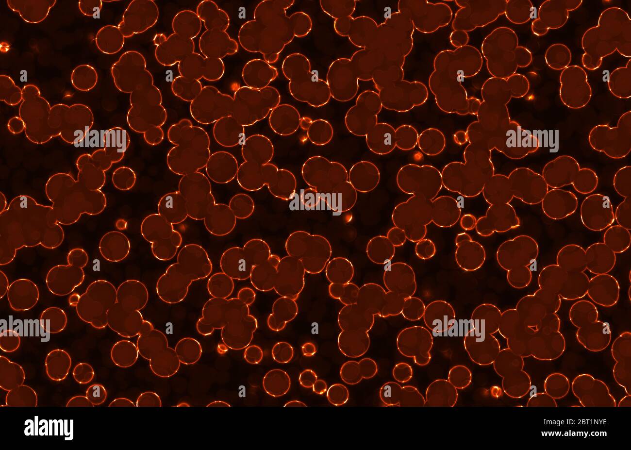 colored abstract bacteria cells Stock Photo - Alamy