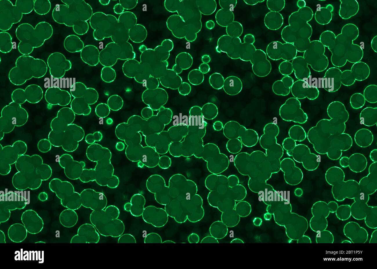 colored abstract bacteria cells Stock Photo - Alamy