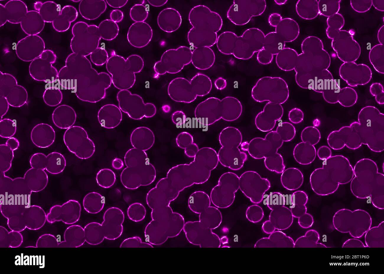 colored abstract bacteria cells Stock Photo - Alamy
