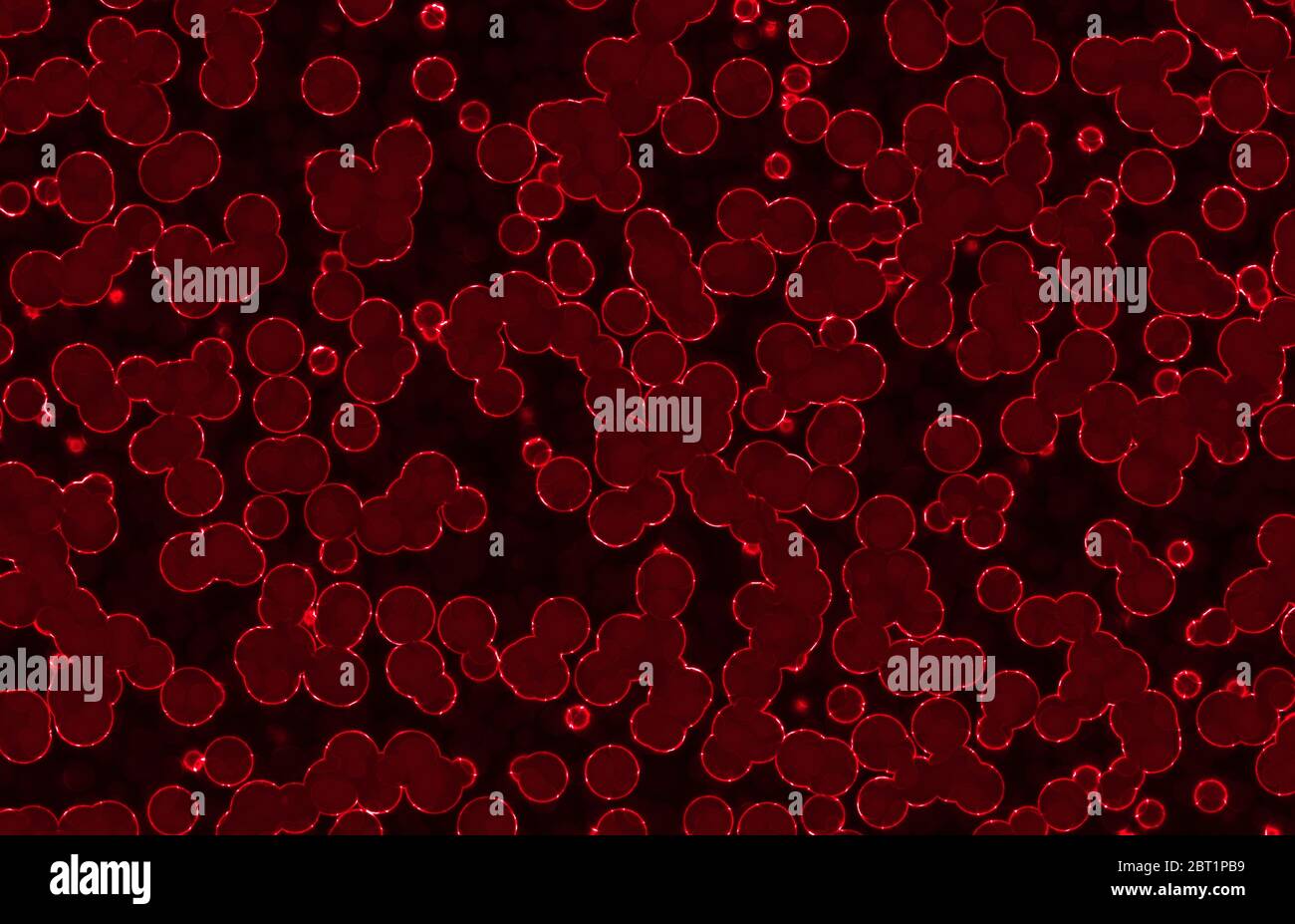 colored abstract bacteria cells Stock Photo - Alamy