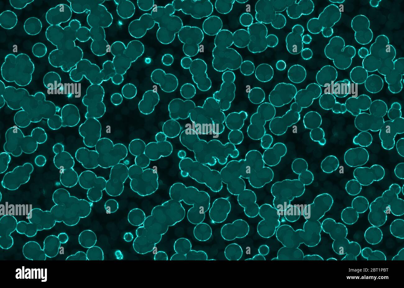 colored abstract bacteria cells Stock Photo - Alamy