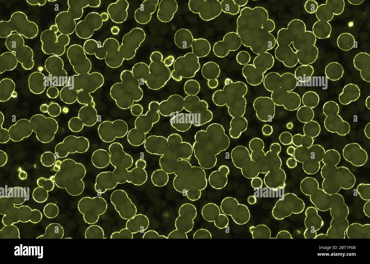 colored abstract bacteria cells Stock Photo - Alamy