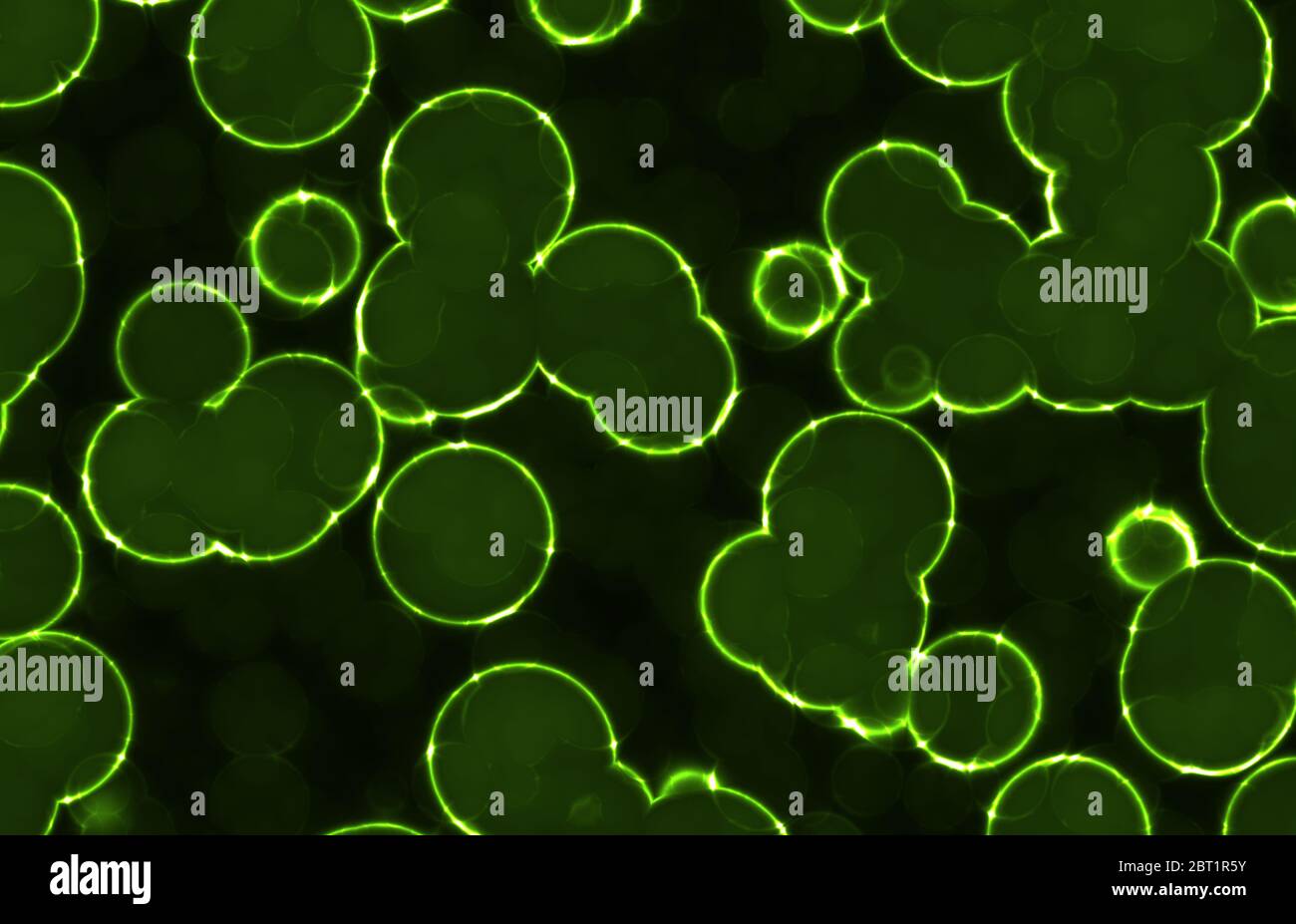 colored abstract bacteria cells Stock Photo - Alamy