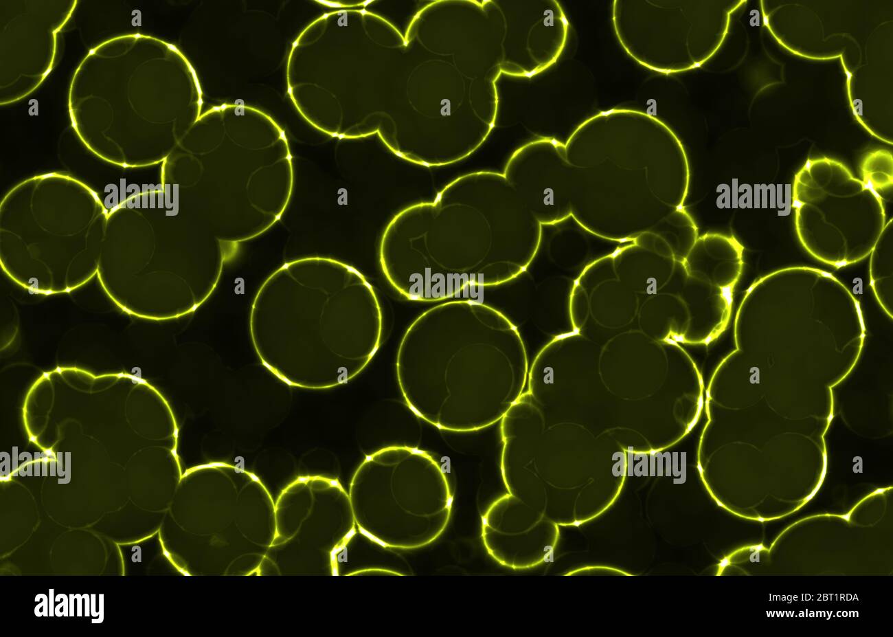 colored abstract bacteria cells Stock Photo - Alamy