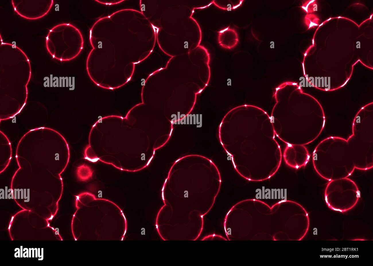 colored abstract bacteria cells Stock Photo - Alamy