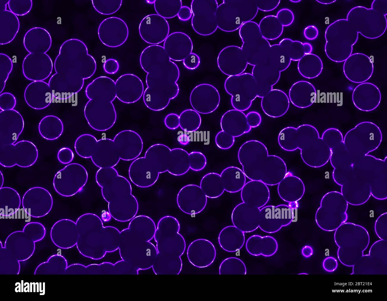 decorative abstract colored shiny bacteria cells Stock Photo - Alamy