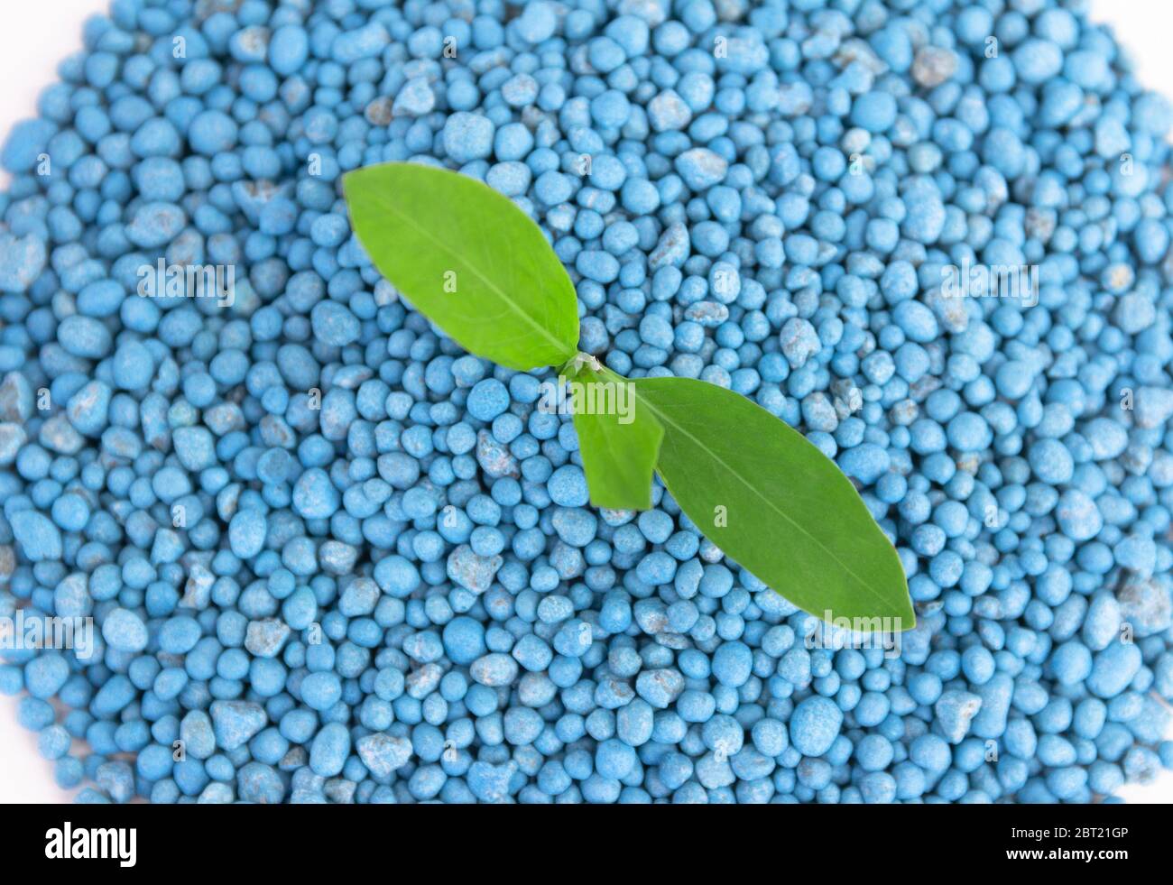 Pile of blue chemical fertilizer and green plant isolated on white ...