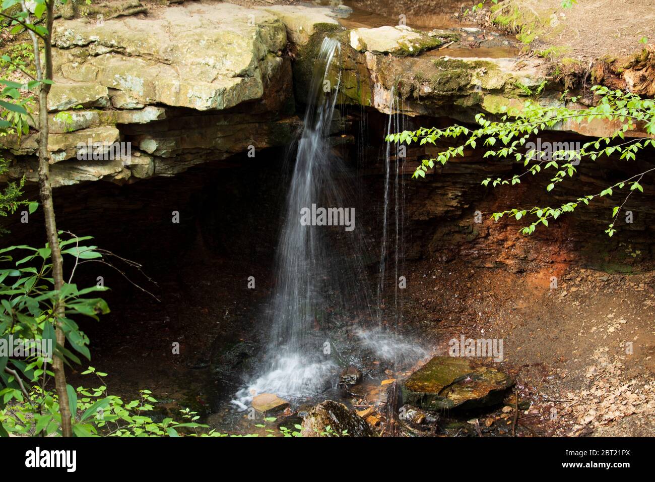 Small waterfall over a short cliff in the forest Stock Photo - Alamy