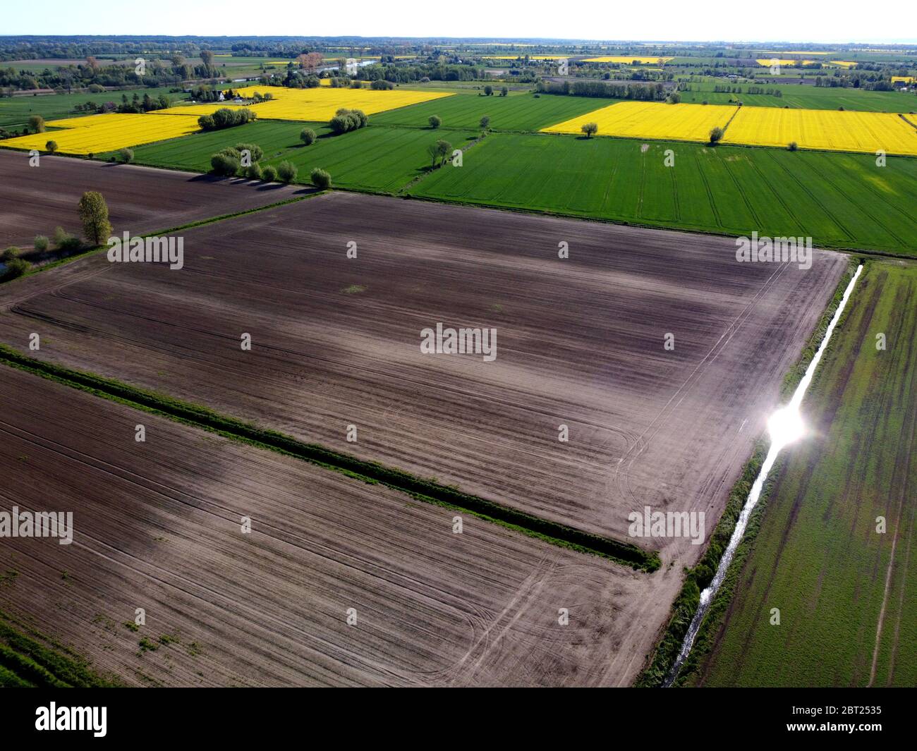 Drainage channels among fields on Zulawy Wislane, Poland Stock Photo ...