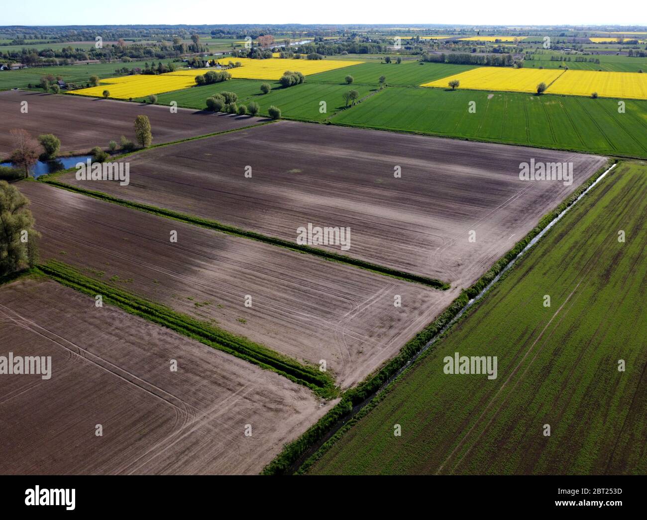 Aerial view on fields, Zulawy Wislane, Poland Stock Photo - Alamy