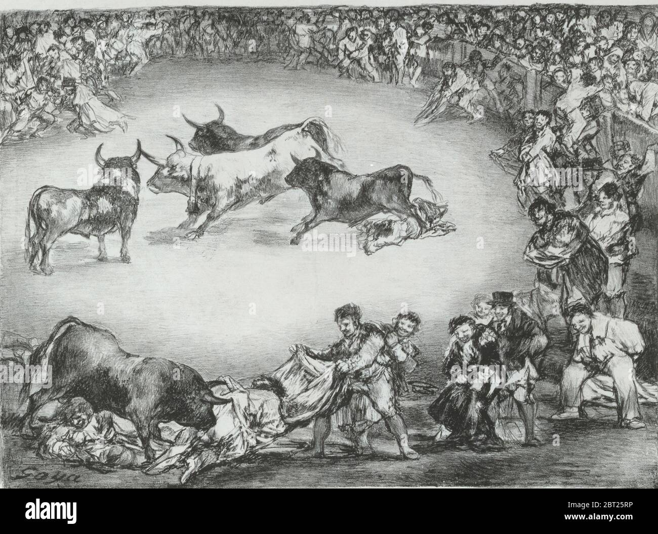 Bull goring hi-res stock photography and images - Alamy